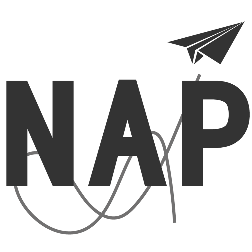 NAP - 专注空间智能，赋能智能机器